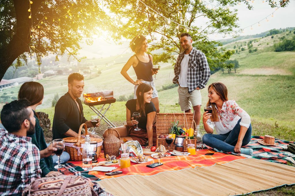 Summer is a Great Time for a Picnic - House Cleaners Portland